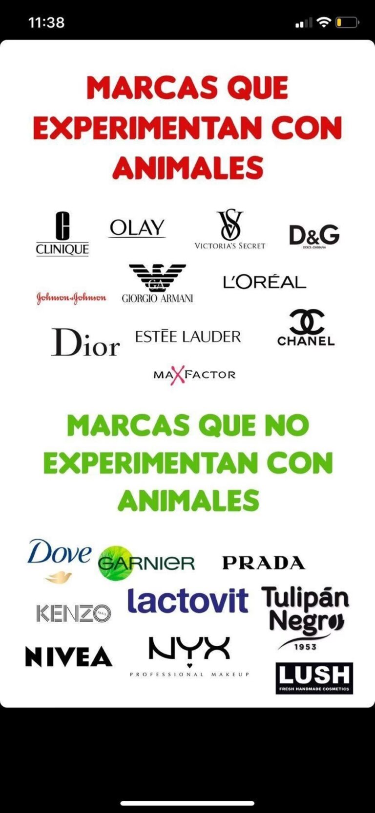 Cosméticos y Crueldad Animal: Marcas que Testan | KONE