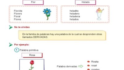El Universo del Calzado: Zapatos y Zapatillas | KONE